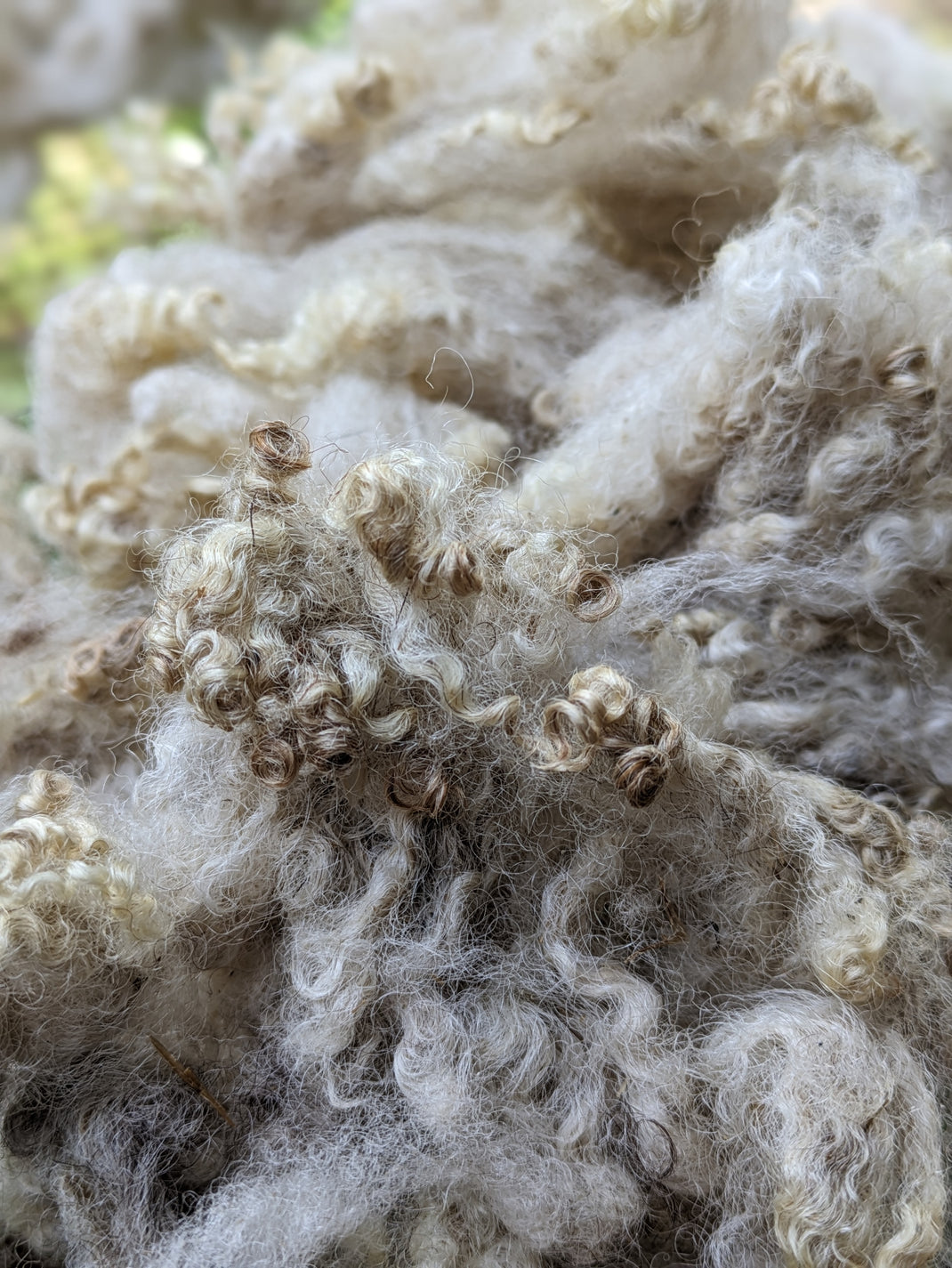 Sales of sustainable wool products made with Japanese materials and ...
